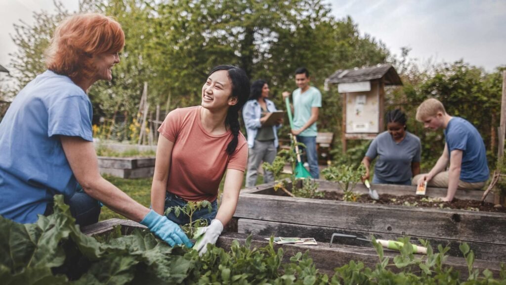 Best Practices for Promoting Social Equity